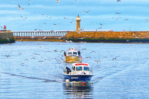 Seaspray Whitby Charter Fishing Trips – Chartered boat fishing trips at ...