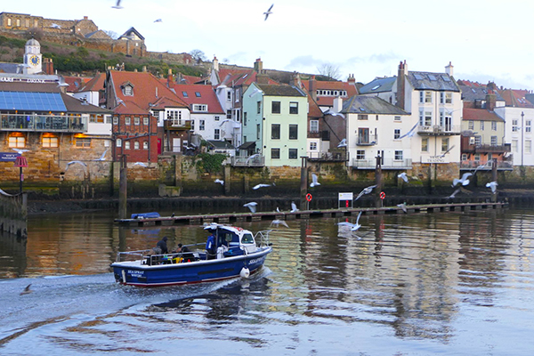 Seaspray Whitby Charter Fishing Trips – Chartered boat fishing trips at ...