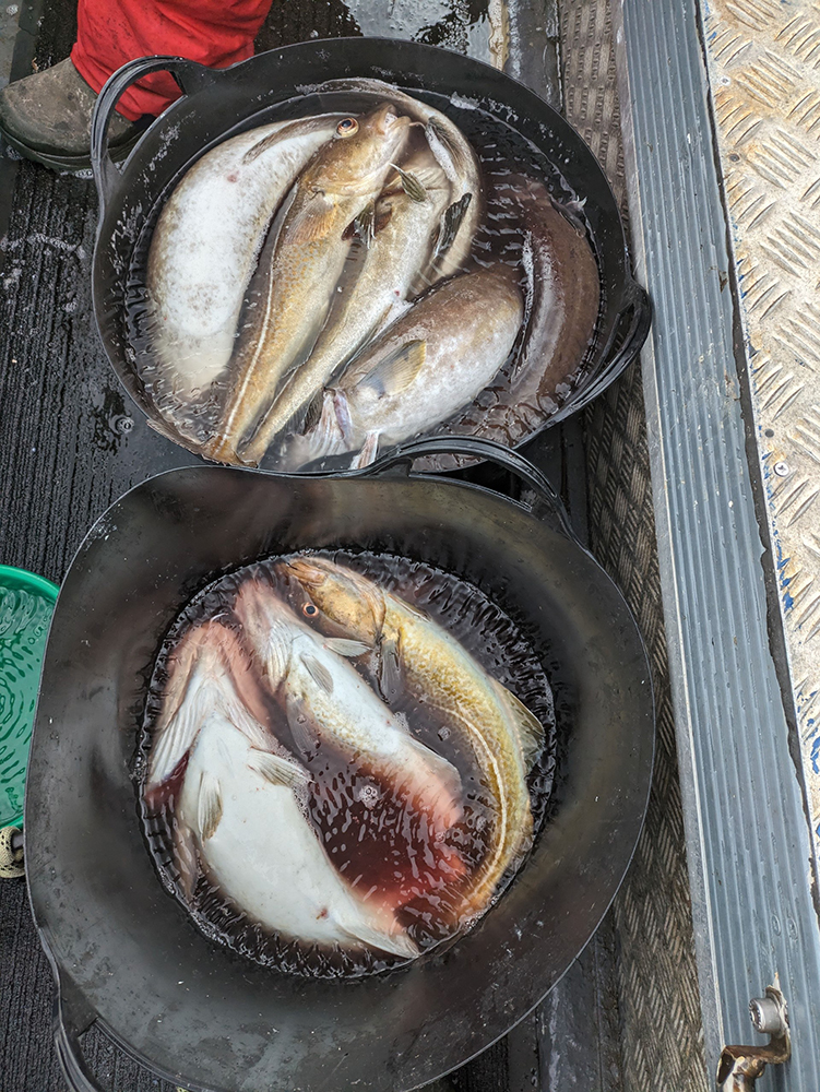 Seaspray Whitby Charter Fishing Trips – Chartered boat fishing trips at ...