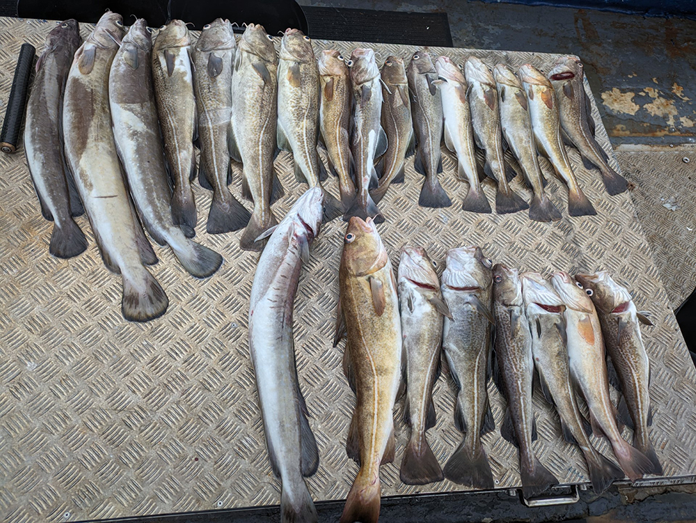 Seaspray Whitby Charter Fishing Trips – Chartered boat fishing trips at ...